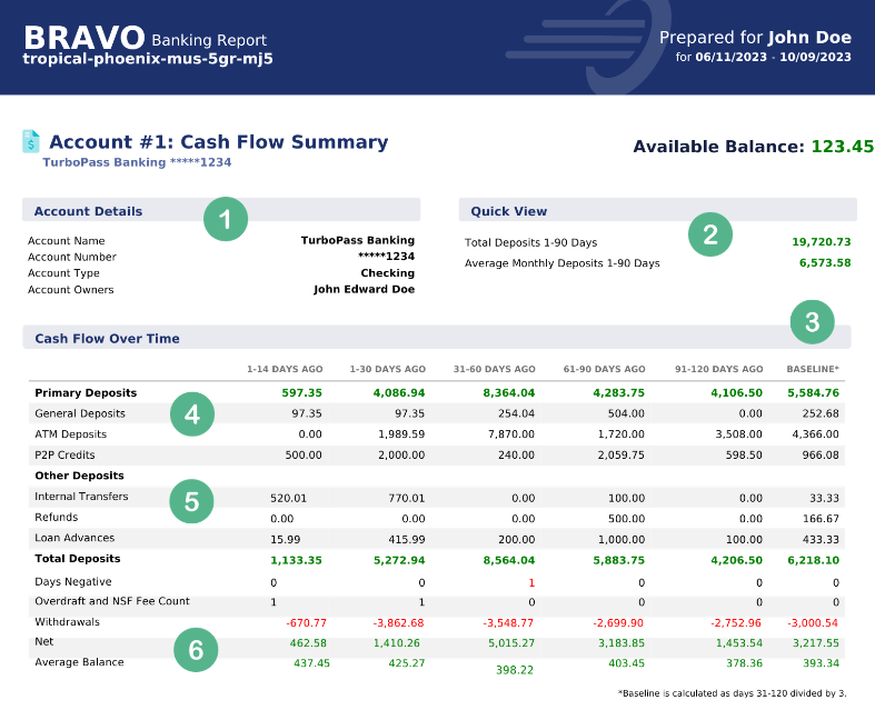 How to Read TurboPass Bravo Reports